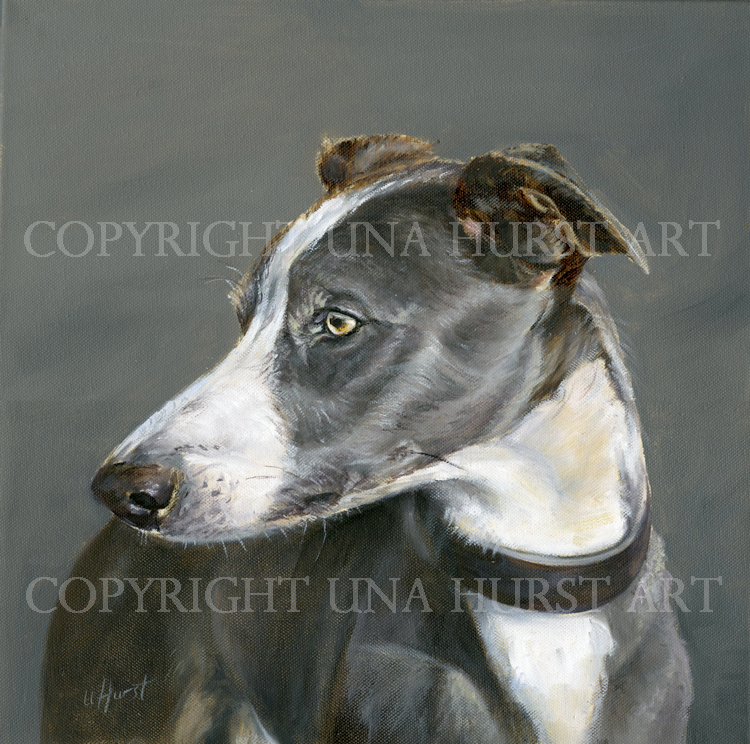 Long dog, lurcher, whippet, greyhound, oil painting