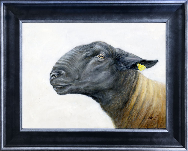 Suffolk ewe oil painting