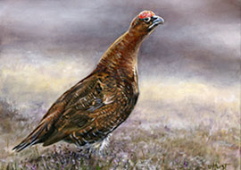 Game bird paintings